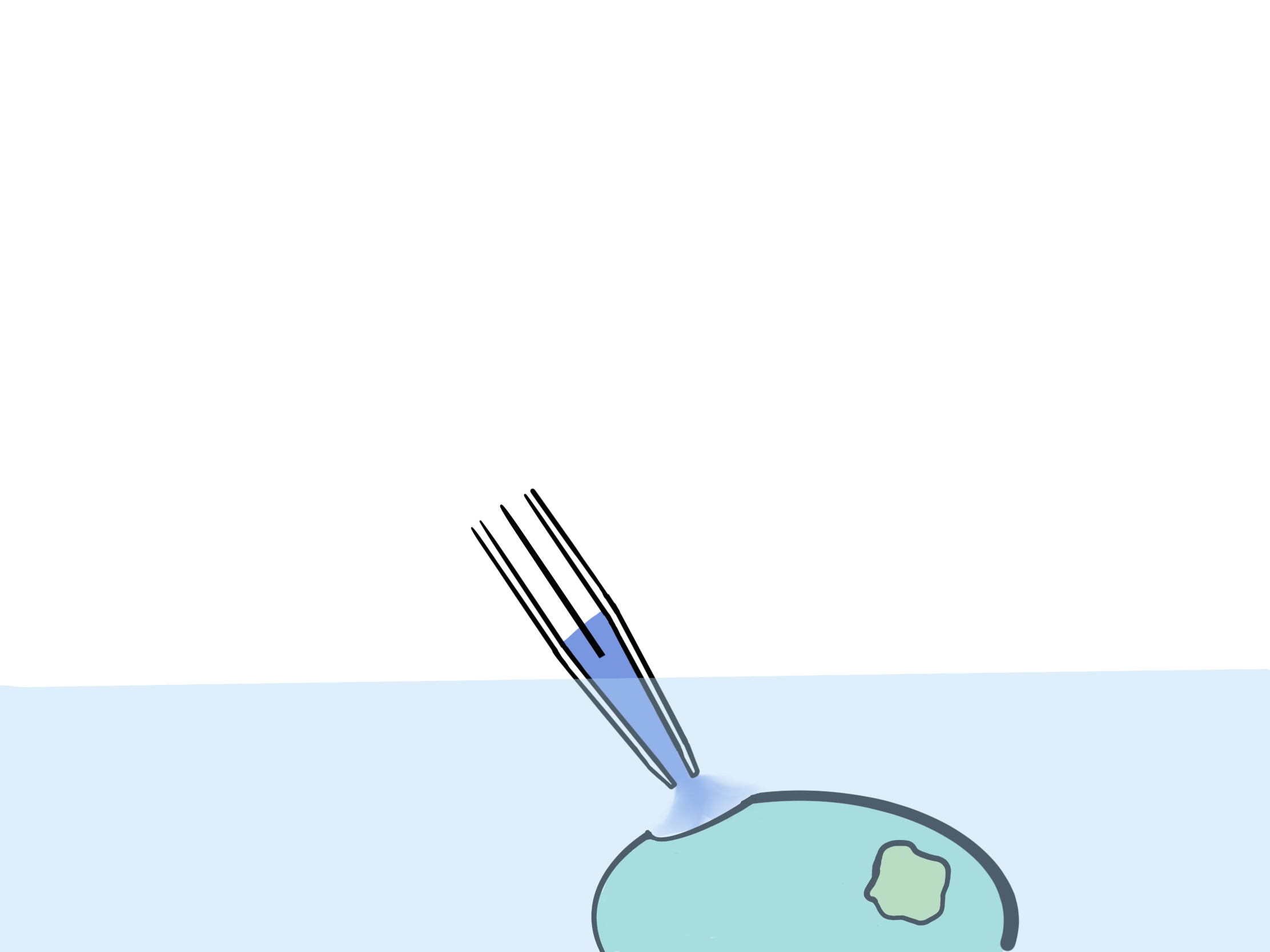 Virtual Patch Clamp - UM